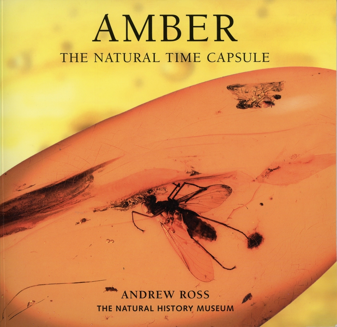 Amber : The Natural Time Capsule by Andrew Ross | Goodreads
