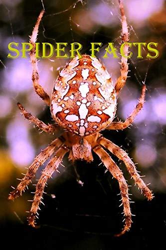 Spider Facts: Photobook of Spider Facts with real images and Facts that ...