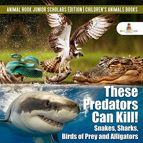 These Predators Can Kill! Snakes, Sharks, Birds of Prey and Alligators ...
