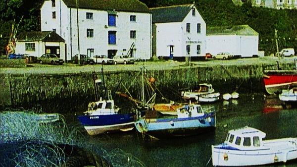 Panikk i Polford by Rodney D. Wingfield | Goodreads