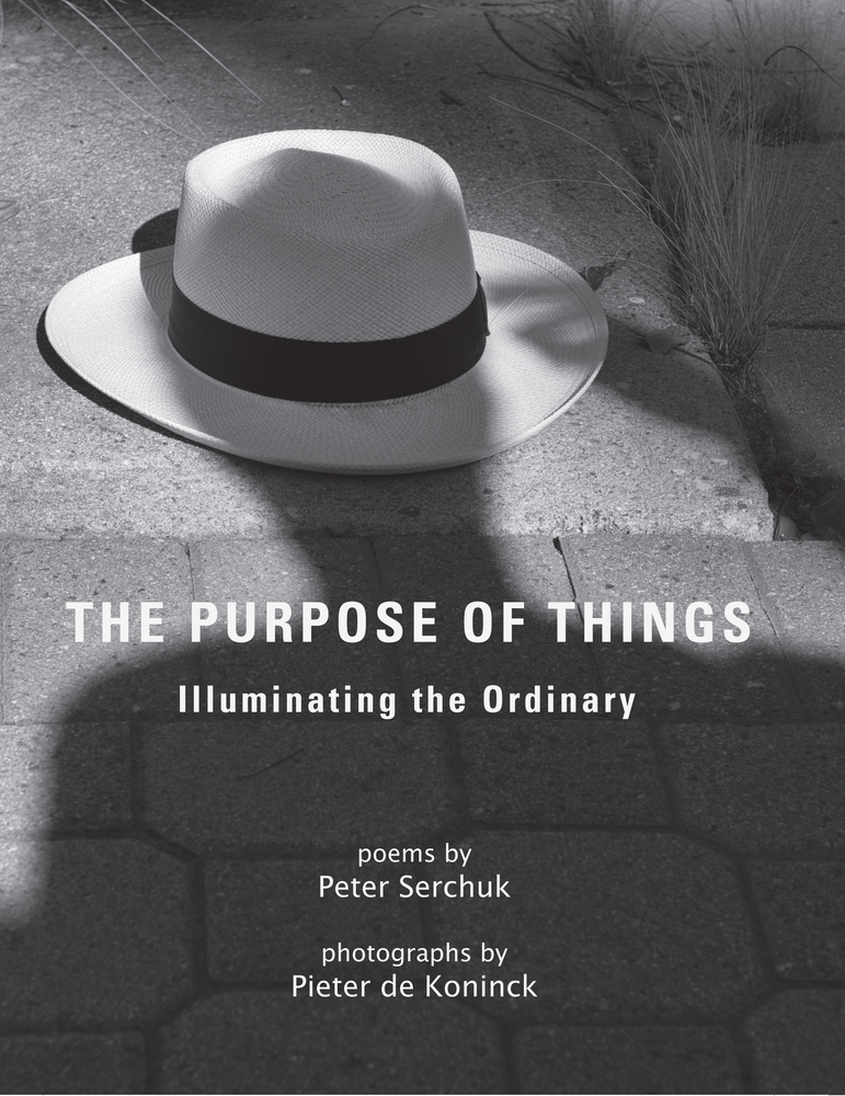 The Purpose of Things by Peter Serchuk | Goodreads