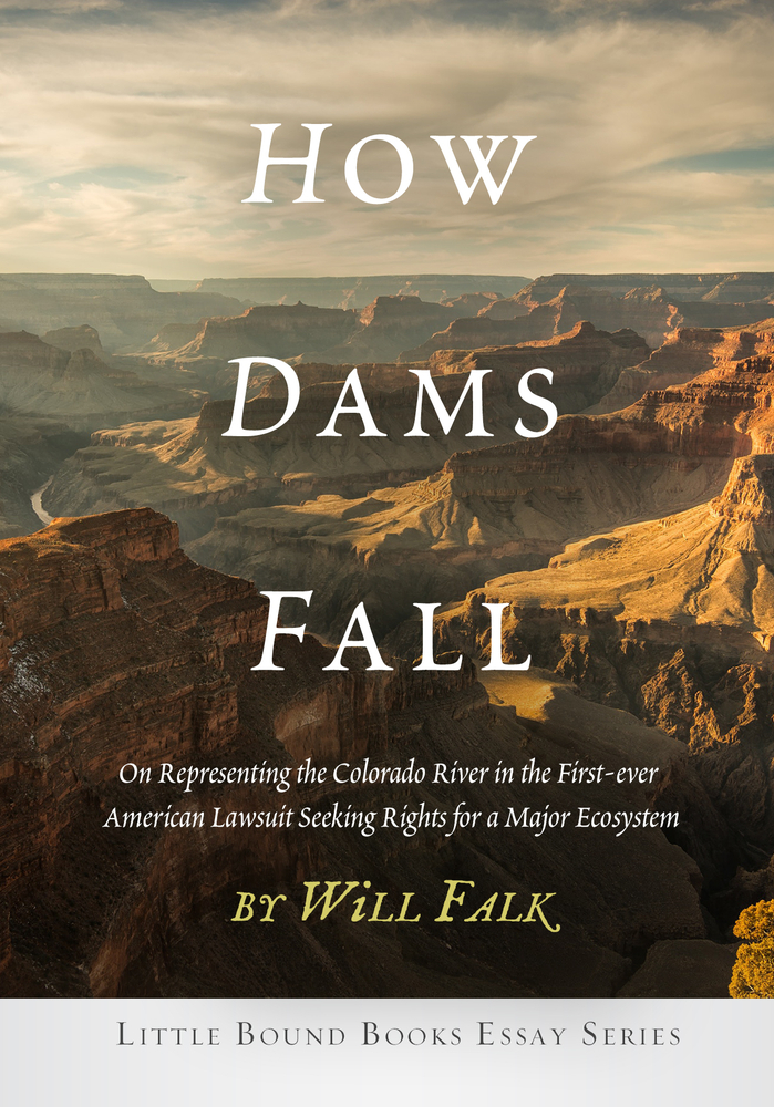 How Dams Fall (Little Bound Books Essay Series) by Will Falk | Goodreads