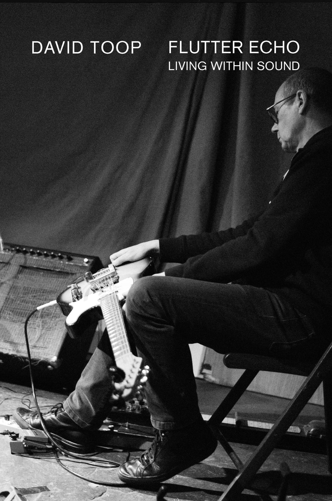 Flutter Echo by David Toop | Goodreads