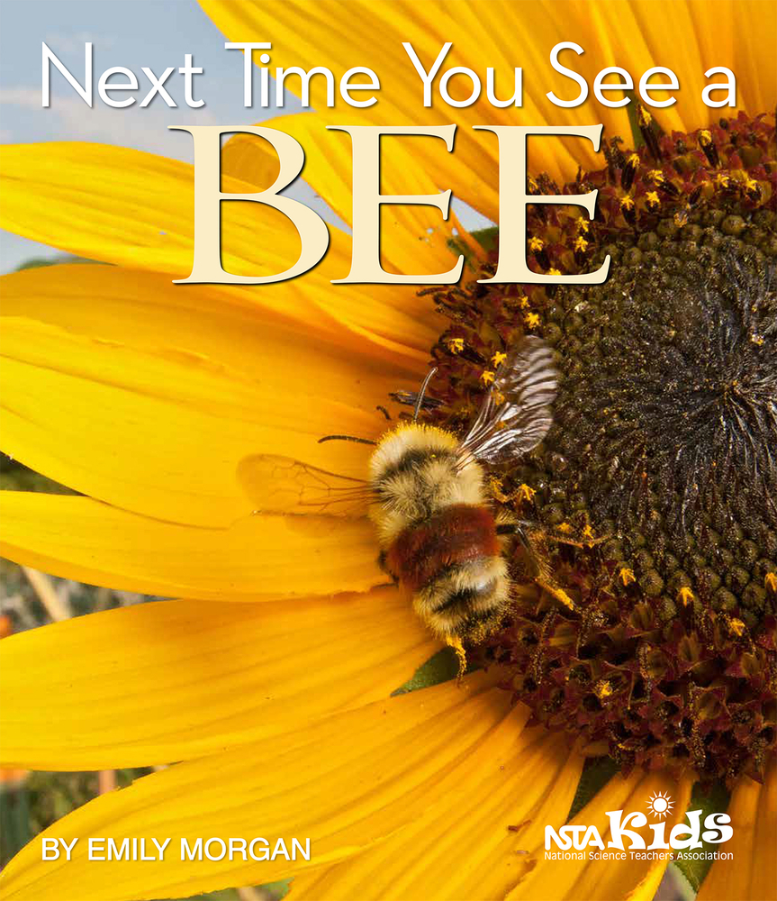 Next Time You See a Bee by Emily Morgan | Goodreads