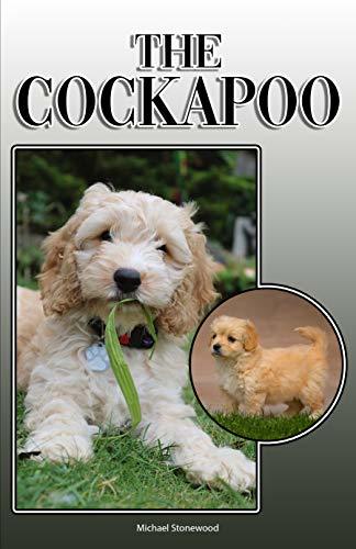 The Cockapoo: A Complete and Comprehensive Owners Guide to: Buying ...