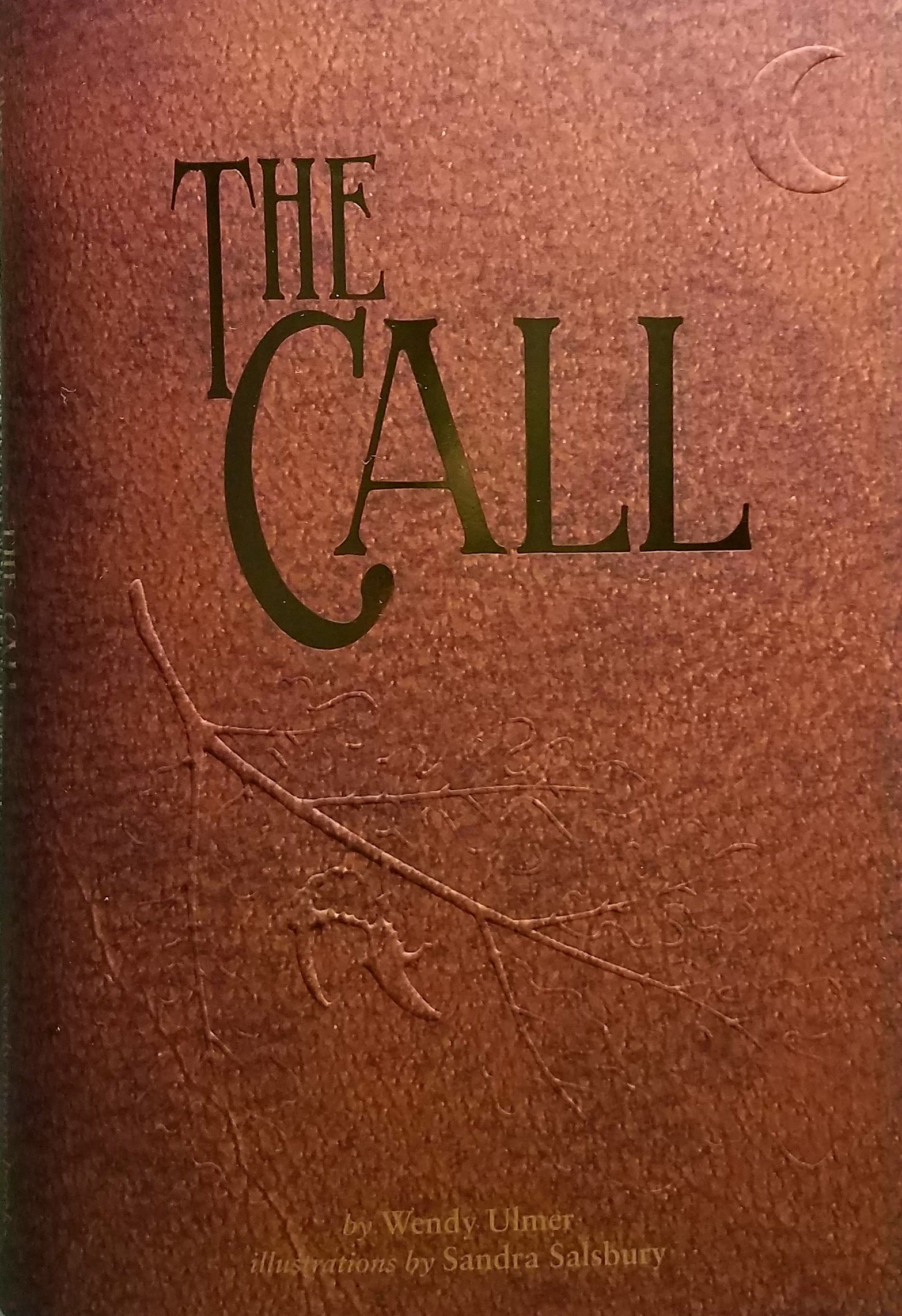 The Call (Book 1 in The Journals of Anterg) by Wendy Ulmer | Goodreads