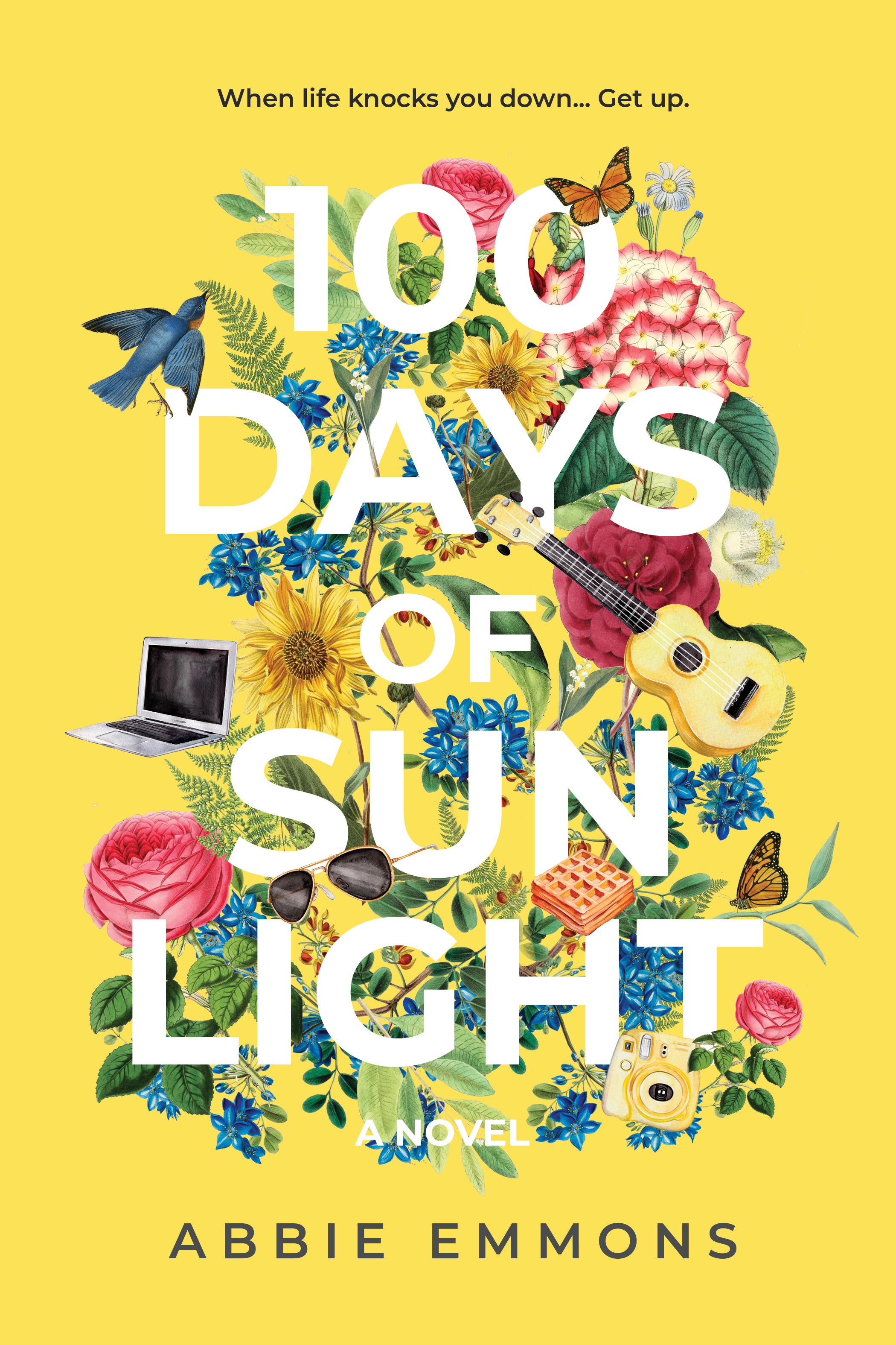 100 Days Of Sunlight By Abbie Emmons Goodreads 100 Days Of Sunlight By Abbie Emmons Goodreads