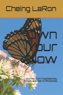 Own Your Now: Journey From Hopelessness, Anxiety and Fear to Wholeness ...