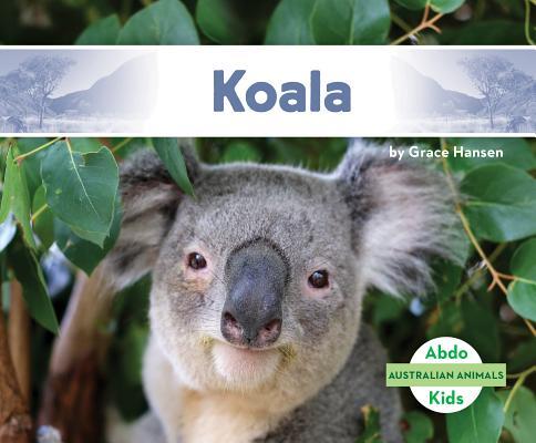 Koala (Australian Animals) by Grace Hansen | Goodreads