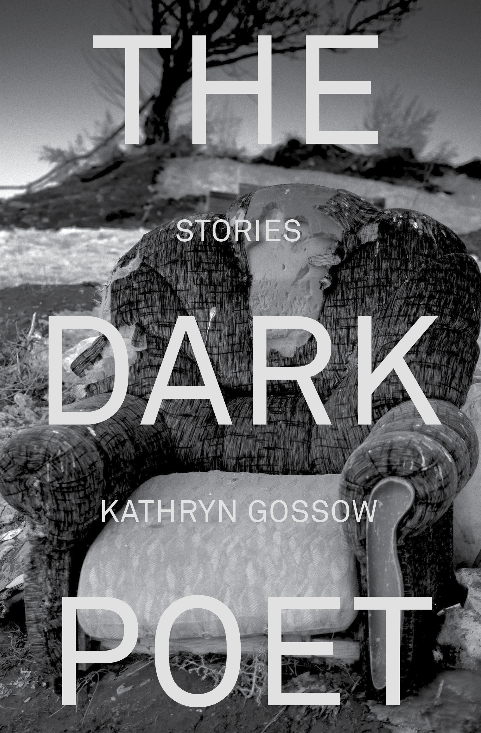 The Dark Poet by Kathryn Gossow | Goodreads