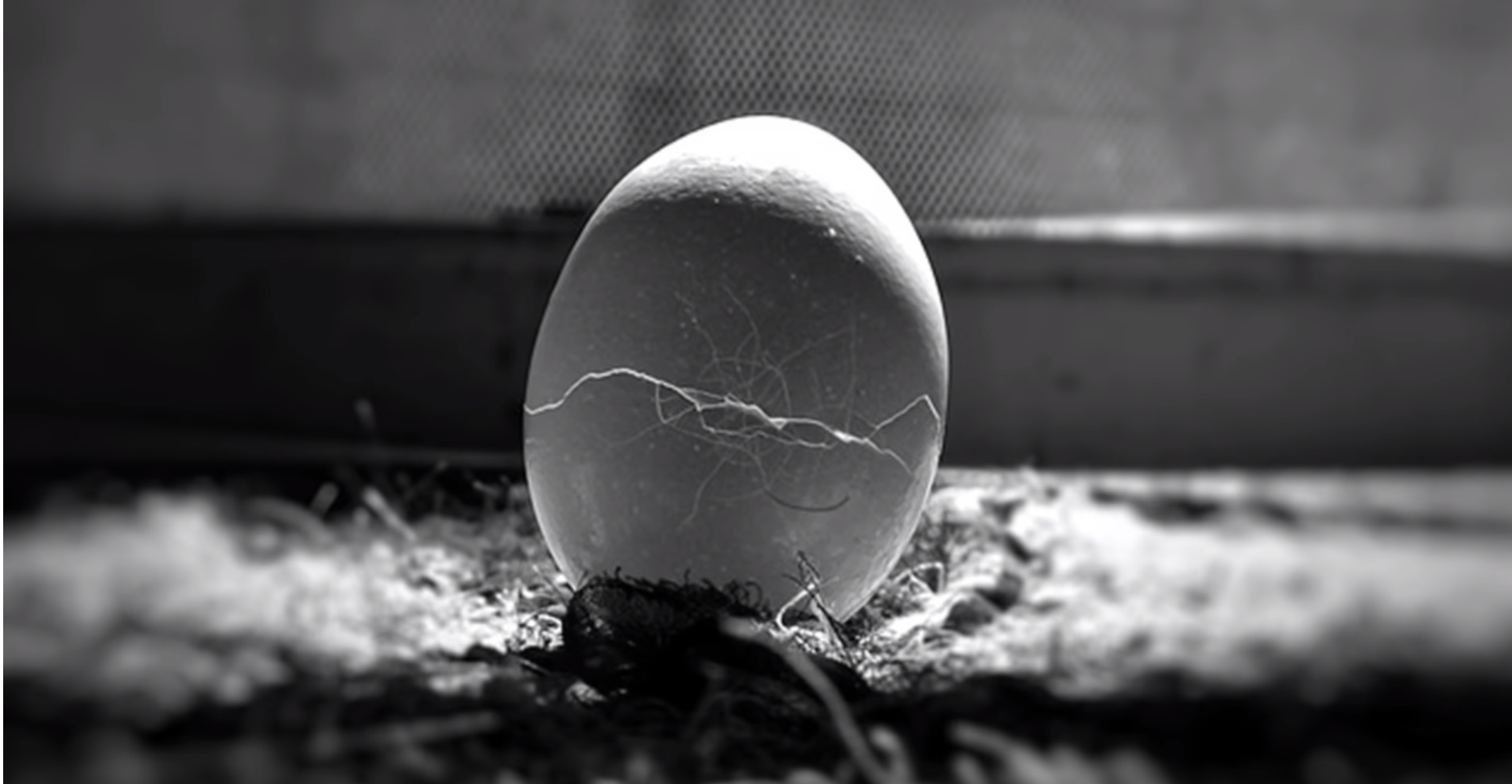 The Fall of Mr Humpty by Victor Pemberton | Goodreads