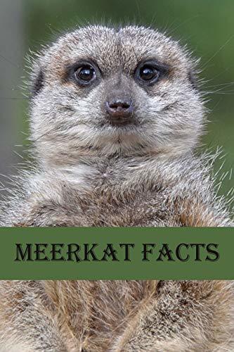 Meerkat Facts: Photobook of Meerkat Facts with real images and Facts ...