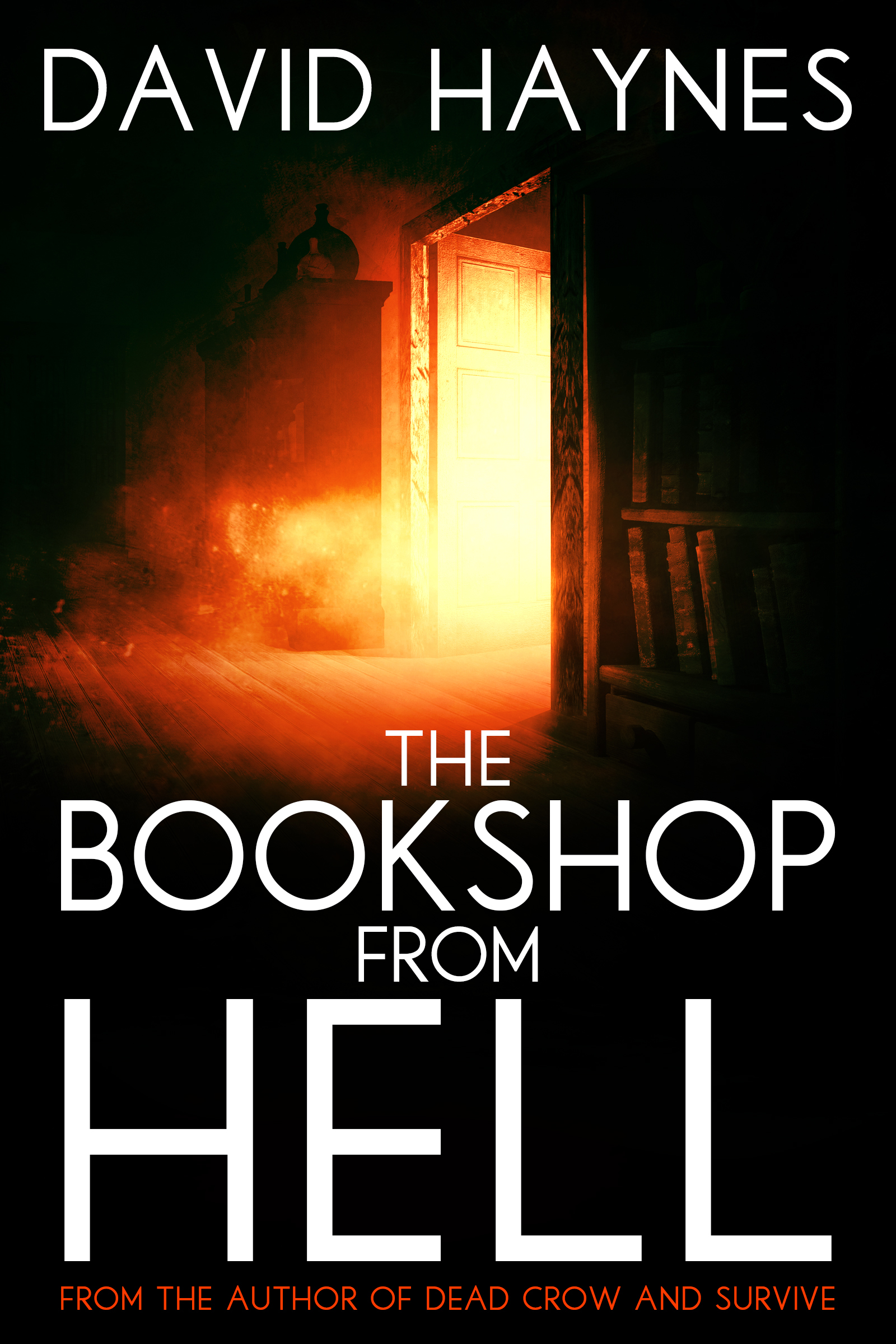 The Bookshop From Hell by David Haynes | Goodreads