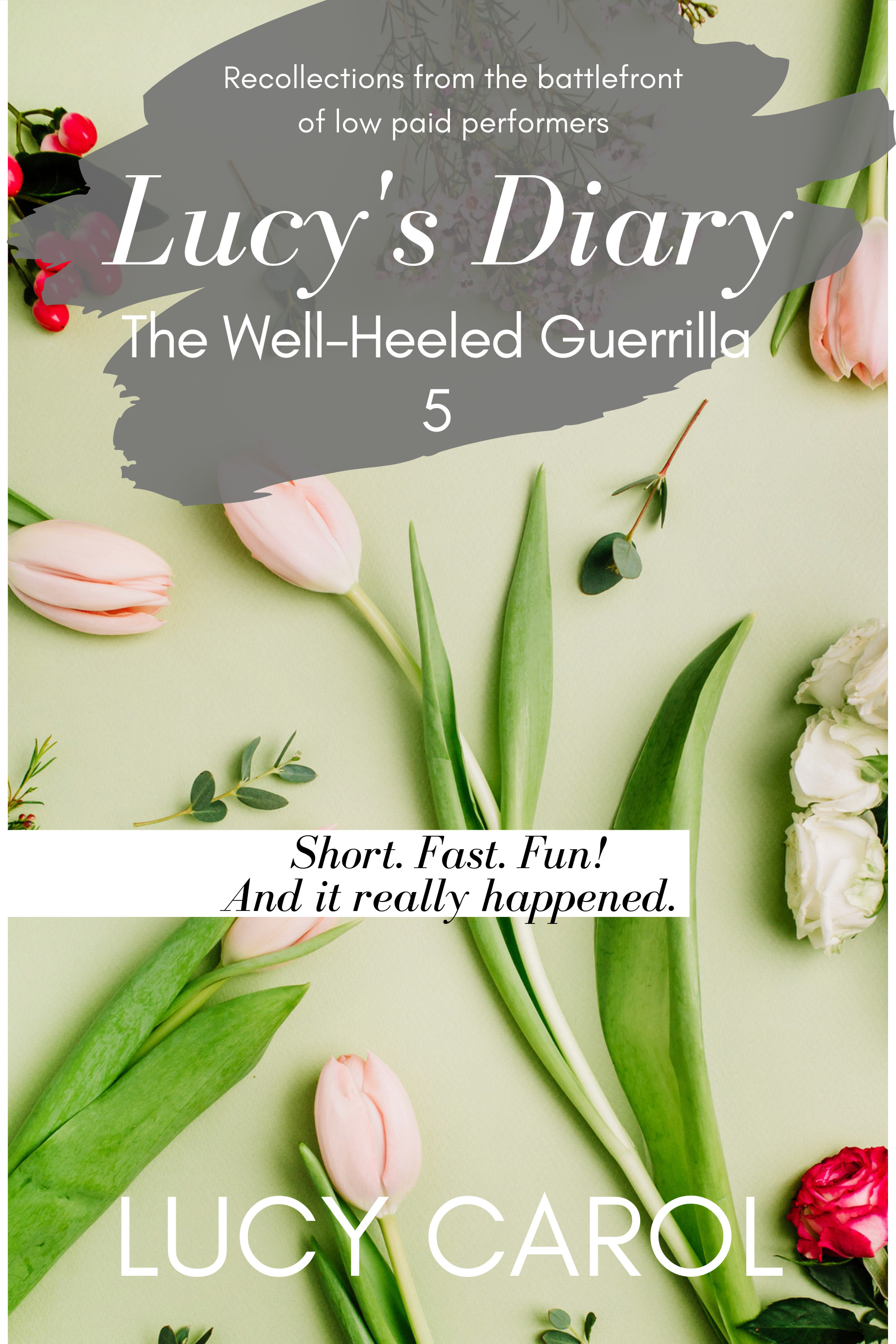 The Well-Heeled Guerrilla (Lucy's Diary #5) by Lucy Carol | Goodreads