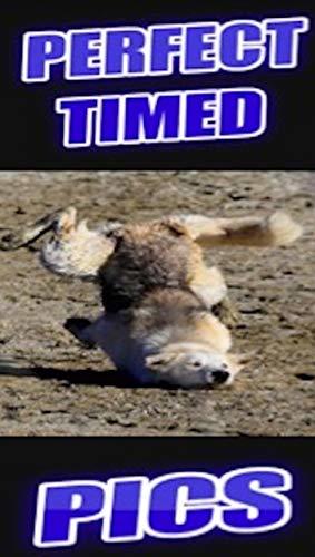 Memes: Hilarious Perfect Timed Pics Incredible Comedy Funny Memes Fails ...