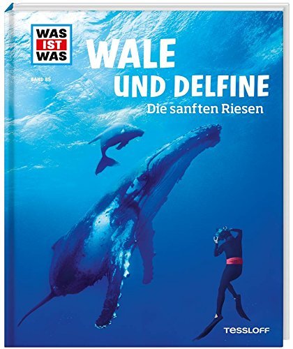 Die sanften riesen: alles über walarten • das wissen, welche walarten ...