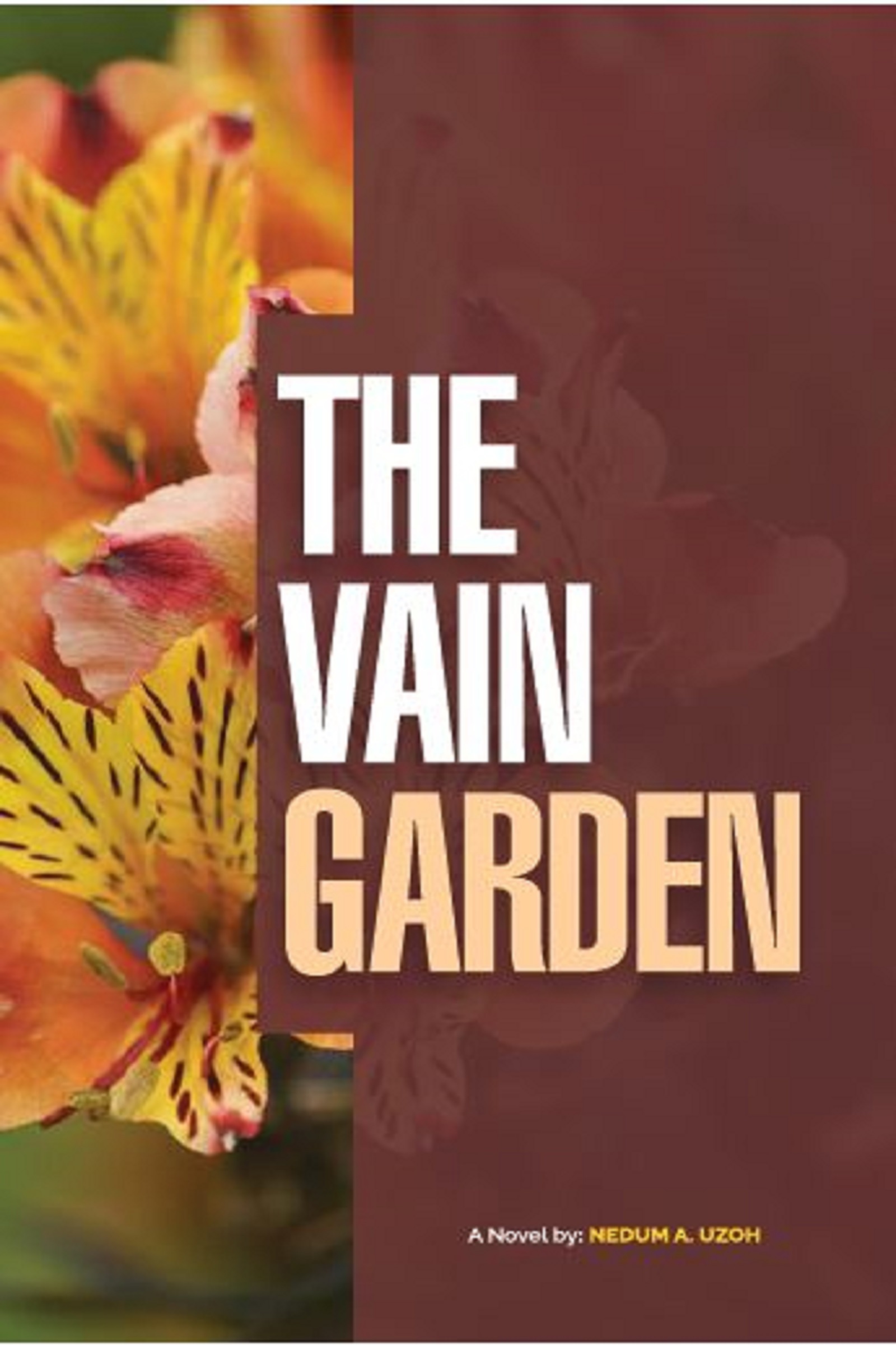The Vain Garden by Nedum A. Uzoh | Goodreads