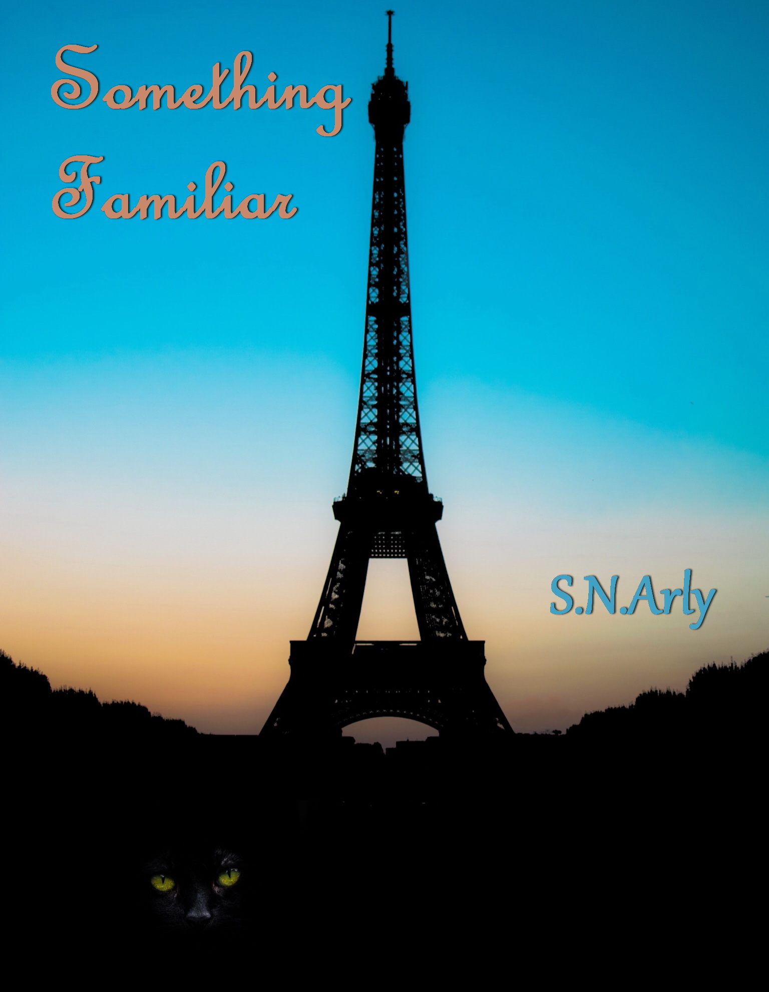 Something Familiar by S.N. Arly | Goodreads