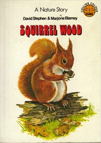 Squirrel Wood by David Stephen | Goodreads