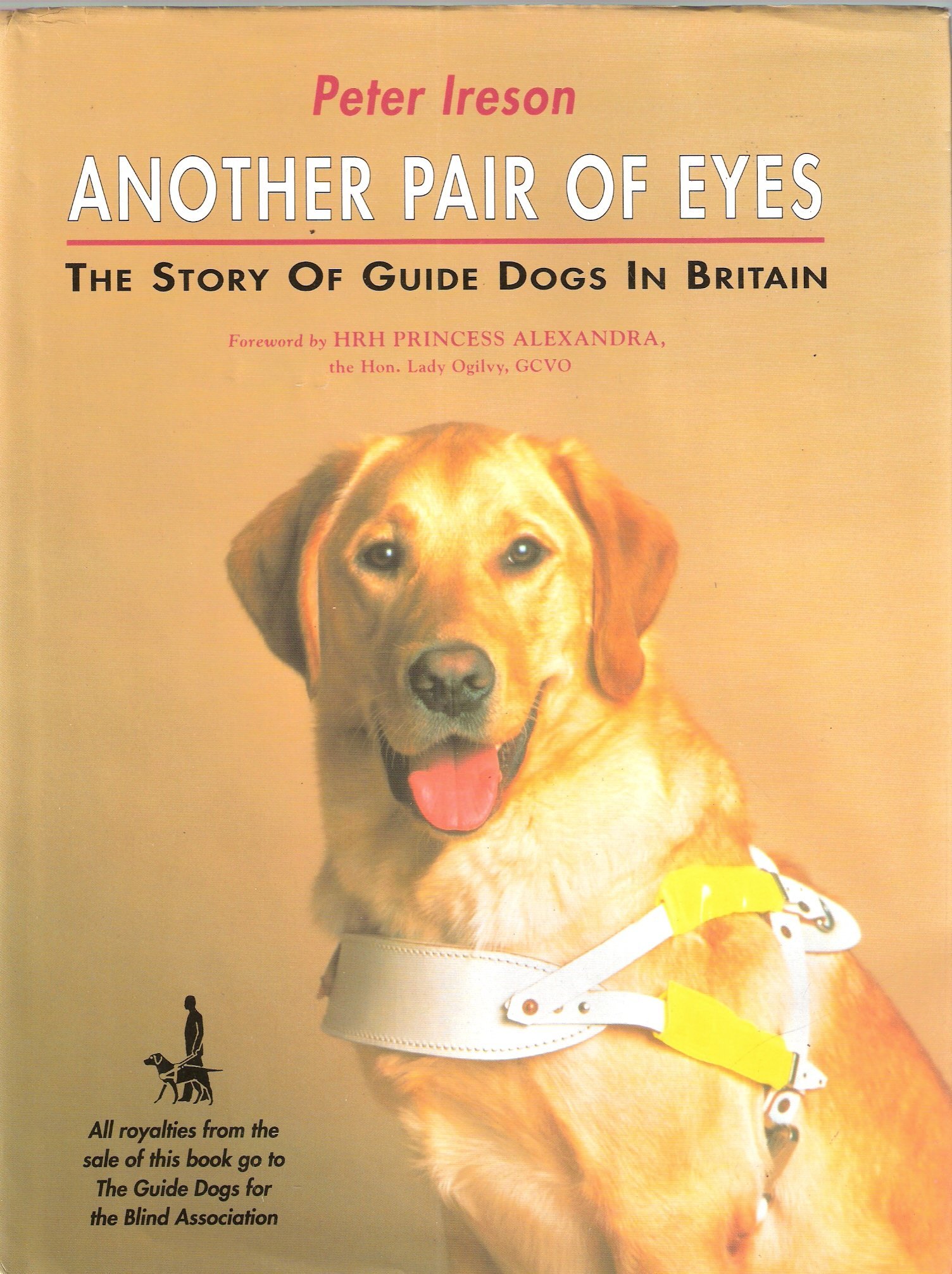 Another Pair of Eyes by Peter Ireson | Goodreads