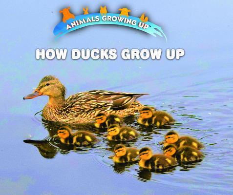 How Ducks Grow Up by Linda Bozzo | Goodreads
