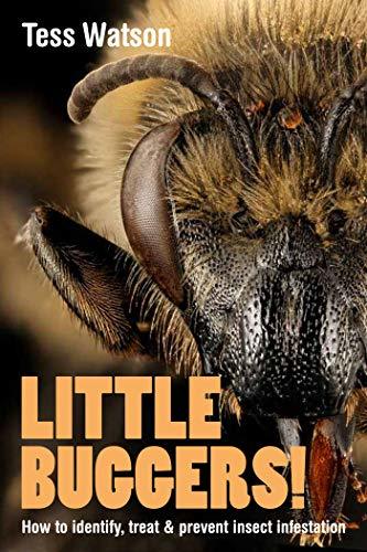 Little Buggers! : How to identify, treat & prevent insect infestation ...