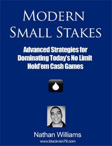 Modern Small Stakes by Nathan Williams | Goodreads