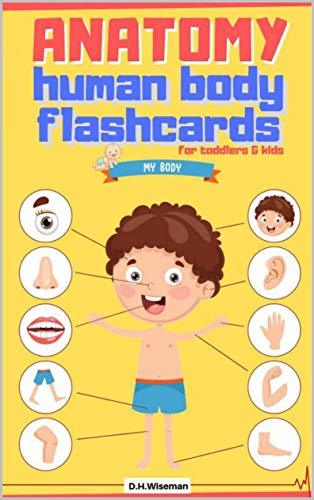 Anatomy Human Body Flashcards for Toddlers & Kids: Body Pictures for 0 ...