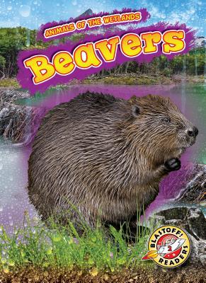 Beavers (Animals of the Wetlands: Blastoff! Readers, Level 2) by Rachel ...