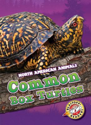 Common Box Turtles by Al Albertson | Goodreads