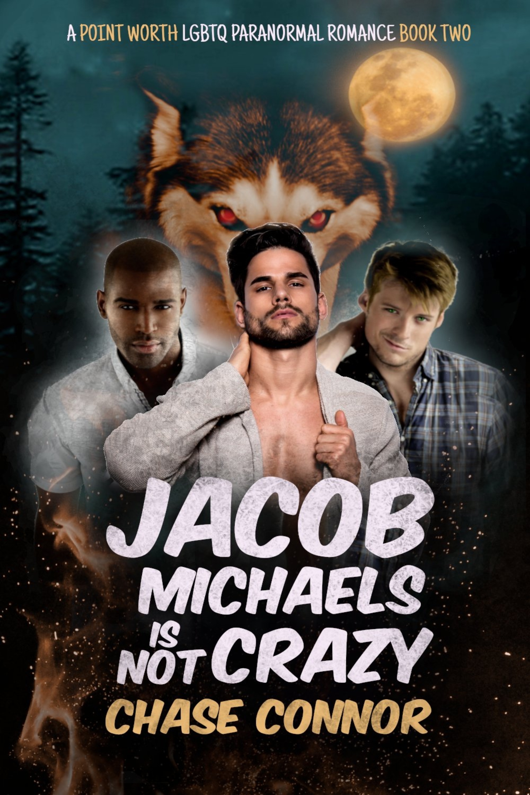 Jacob Michaels Is Not Crazy (Point Worth #2) by Chase Connor | Goodreads