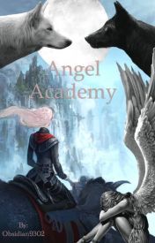 Angel Academy by Obsidian9302 | Goodreads