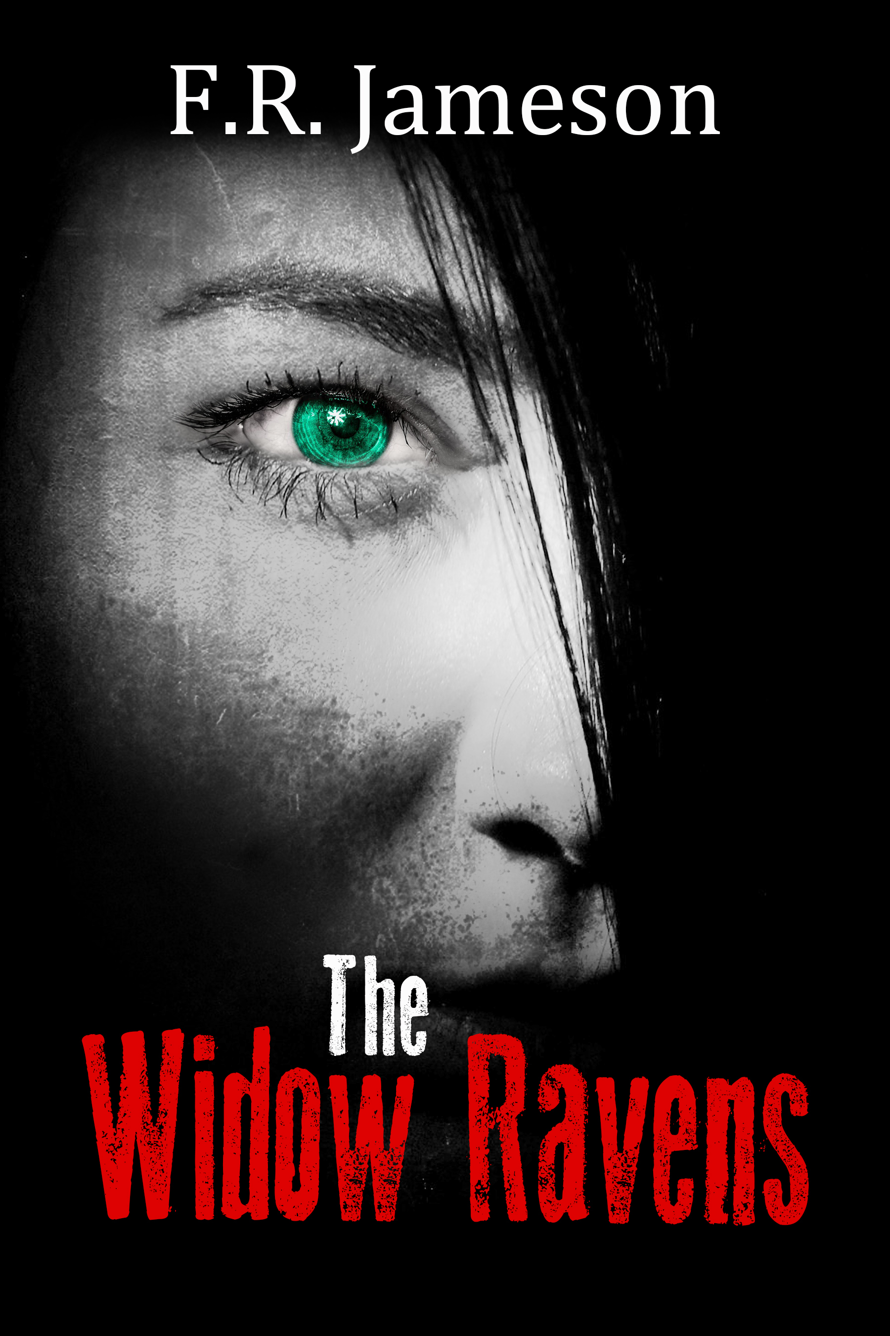 The Widow Ravens (Ghostly Shadows Shorts, #3) by F.R. Jameson | Goodreads