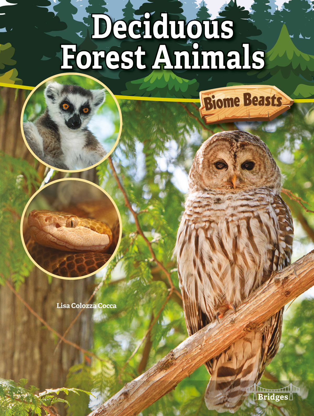 Biome Beasts Deciduous Forest Animals by Cocca | Goodreads