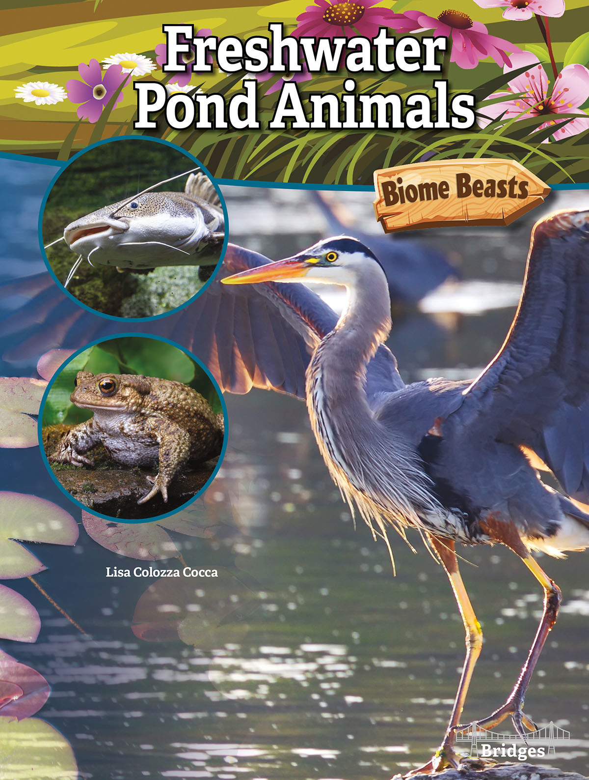 Rourke Educational Media Biome Beasts Freshwater Pond Animals Reader by ...
