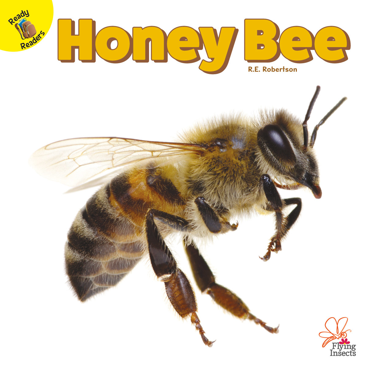 Rourke Educational Media Flying Insects Honey Bee by R.E. Robertson ...