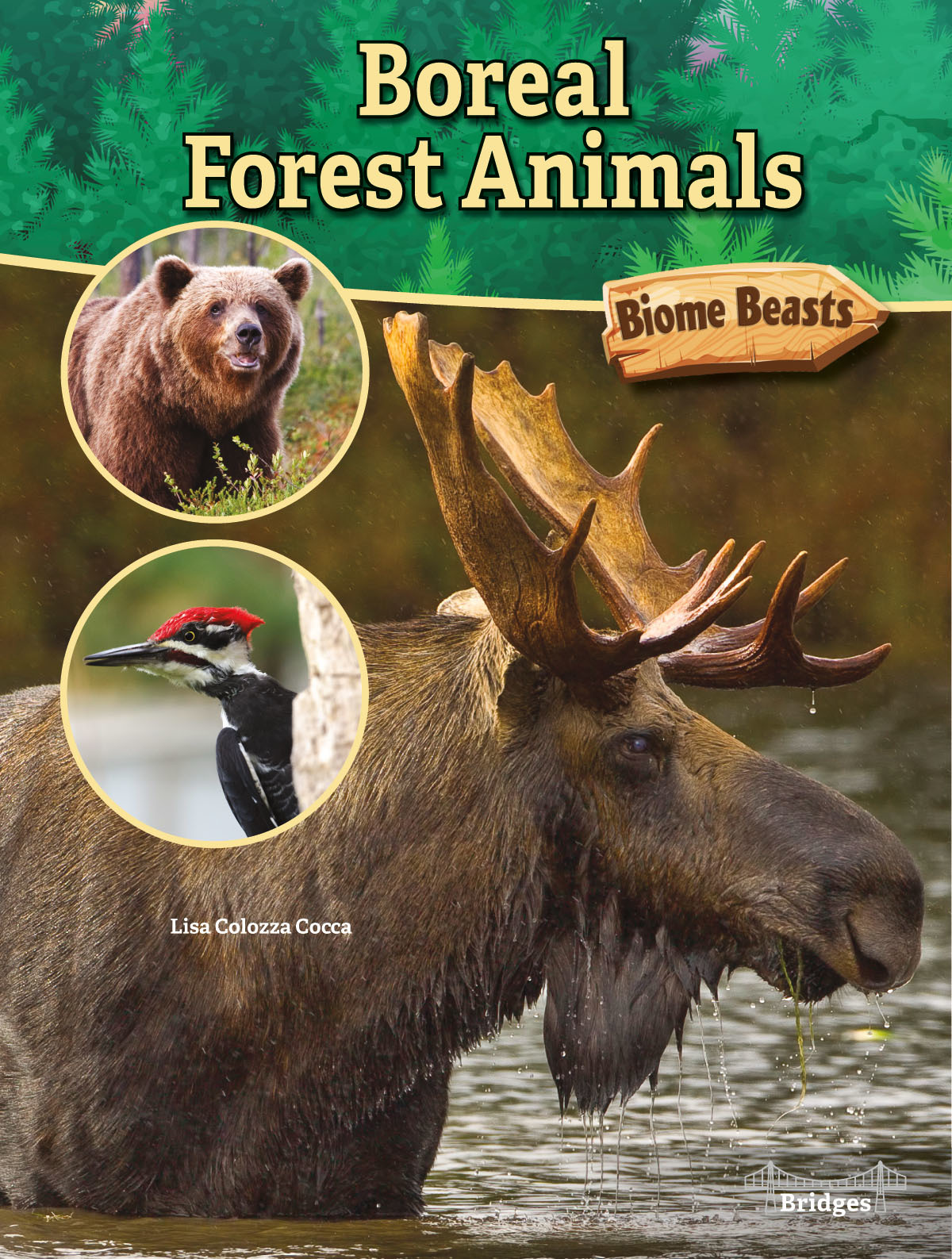 Rourke Educational Media Bridges Boreal Forest Animals by Lisa Colozza ...
