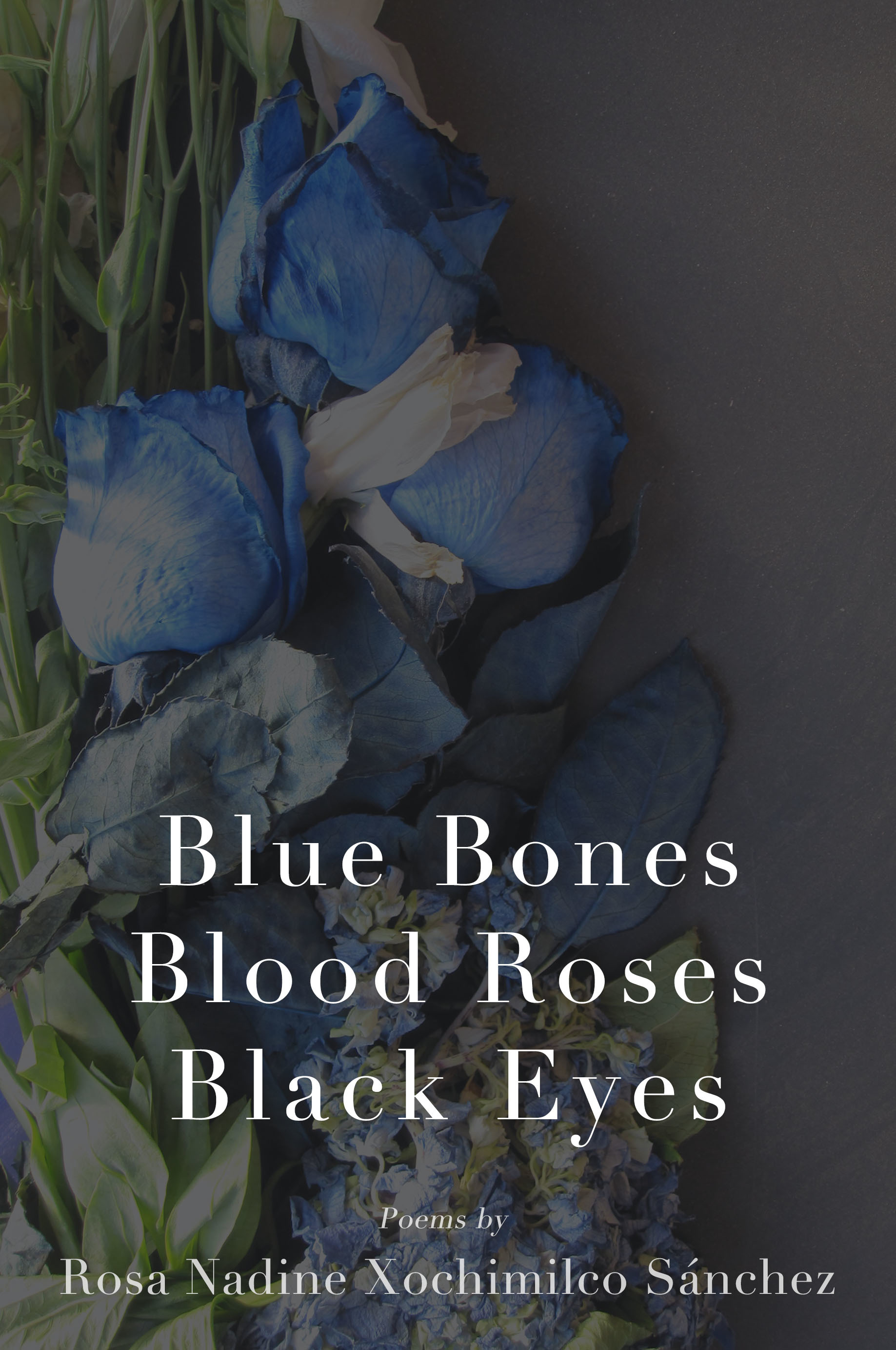 Blue Bones, Blood Roses, Black Eyes by Rosa Nadine Xochimilco Sánchez | Goodreads