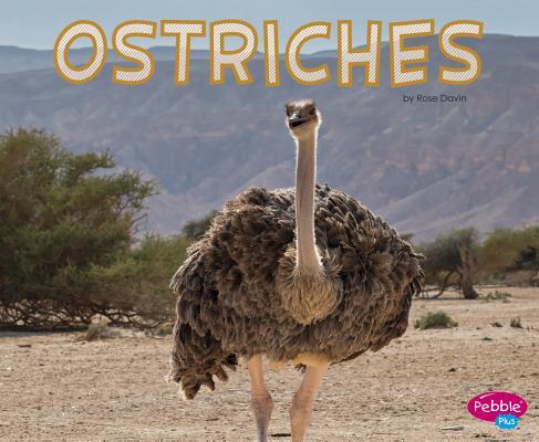 Ostriches (Meet Desert Animals) by Rose Davin | Goodreads