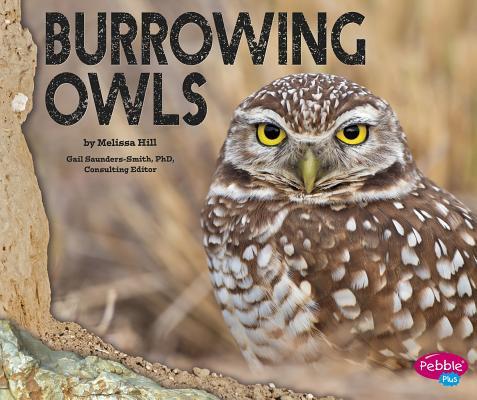 Burrowing Owls (Pebble Plus) by Melissa Hill | Goodreads