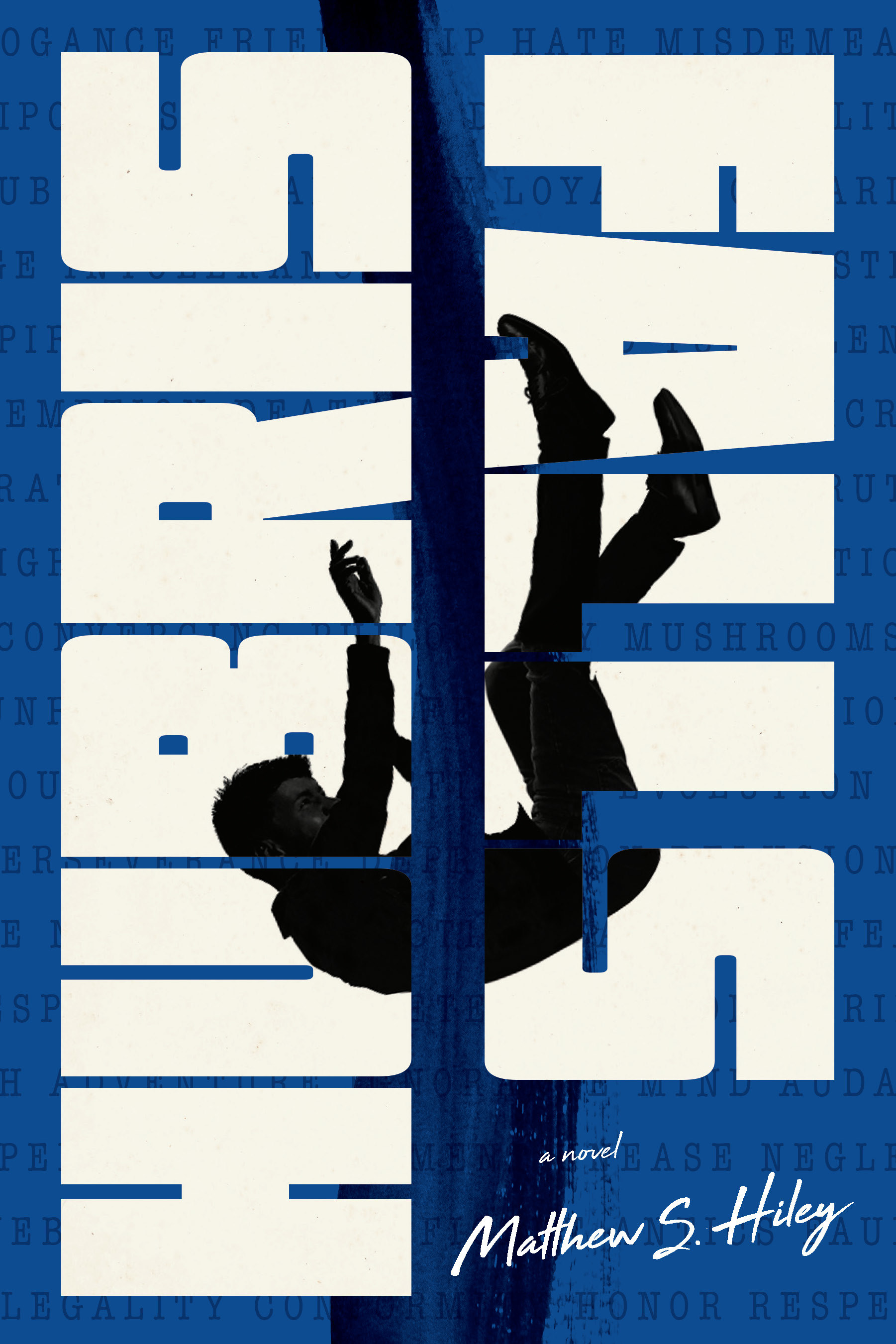 Hubris Falls by Matthew S. Hiley | Goodreads