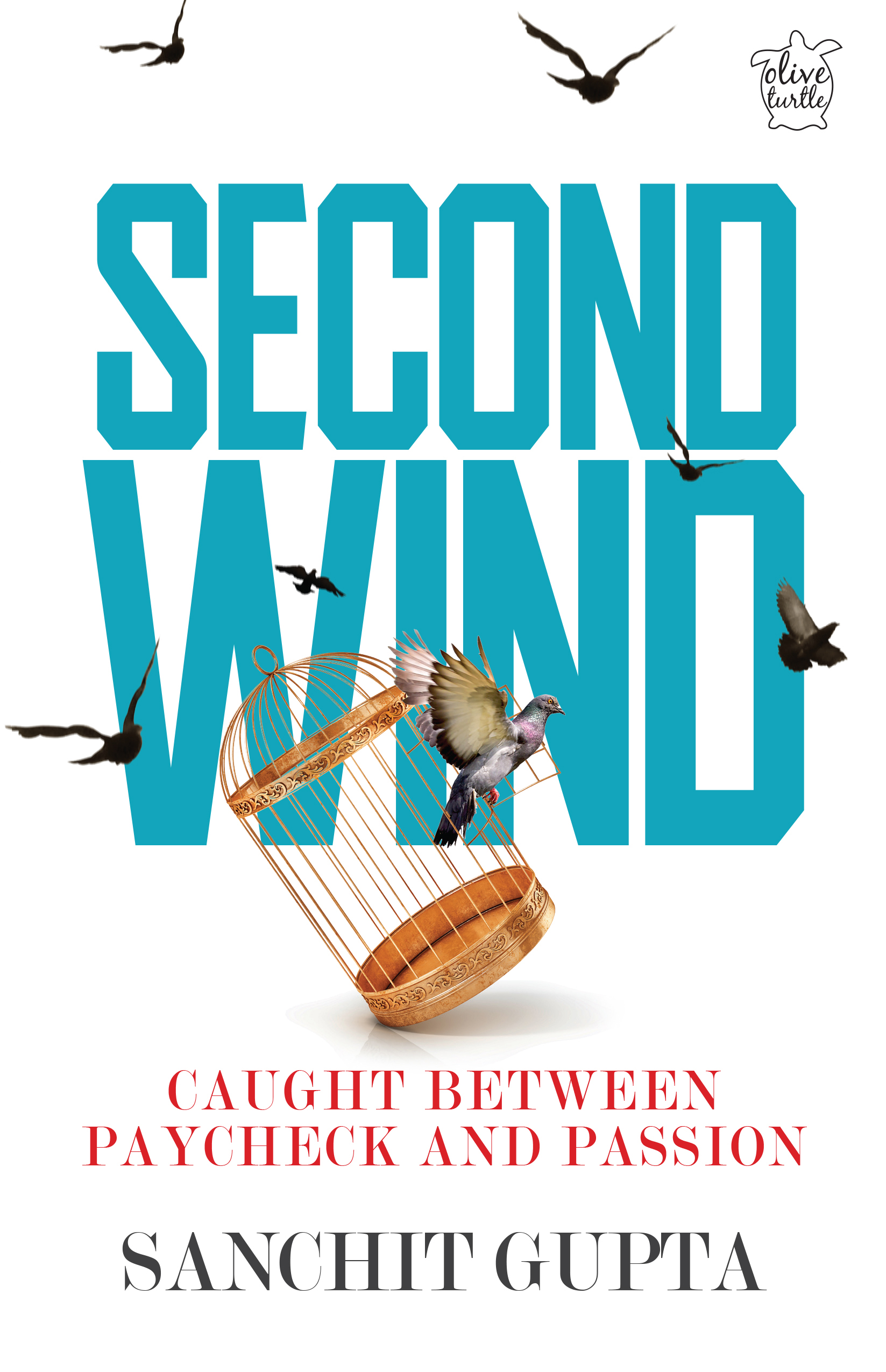 Second Wind: Caught Between Paycheck and Passion by Sanchit Gupta ...