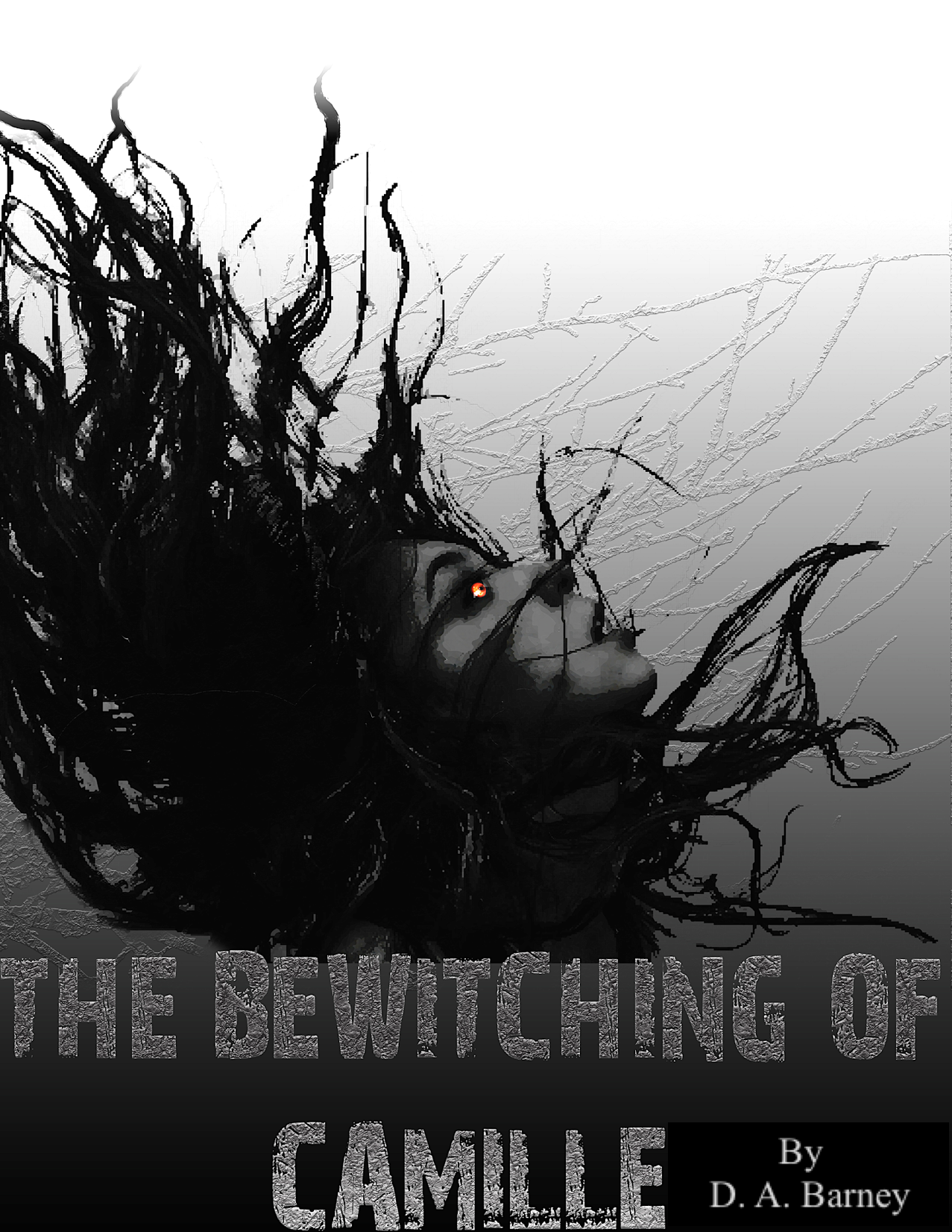 The Bewitching Of Camille (Book #1) by D.A. Barney | Goodreads