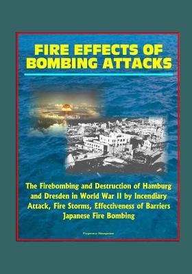 Fire Effects of Bombing Attacks - The Firebombing and Destruction of ...