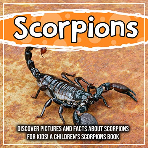 Scorpions: Discover Pictures and Facts About Scorpions For Kids! A ...