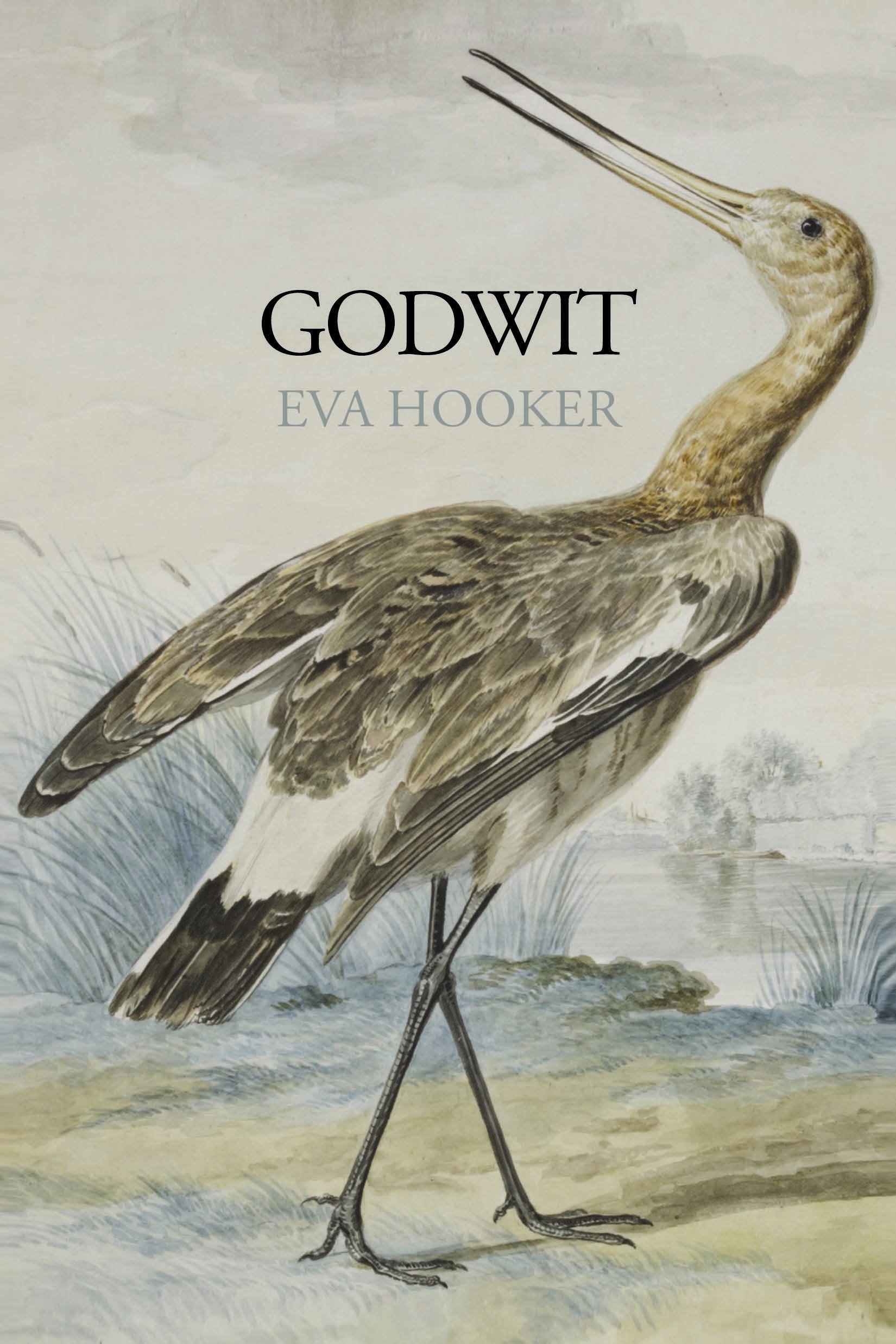 Godwit by Eva Hooker | Goodreads