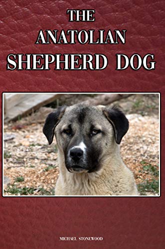 The Anatolian Shepherd Dog: A Complete and Comprehensive Beginners ...