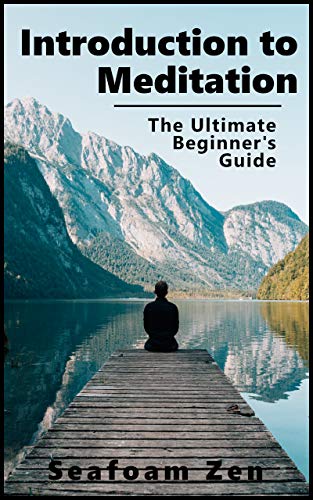 Introduction to Meditation: The Ultimate Beginner's Guide: The Benefits ...