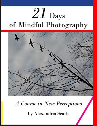 21 Days of Mindful Photography: A Course in New Perceptions by ...