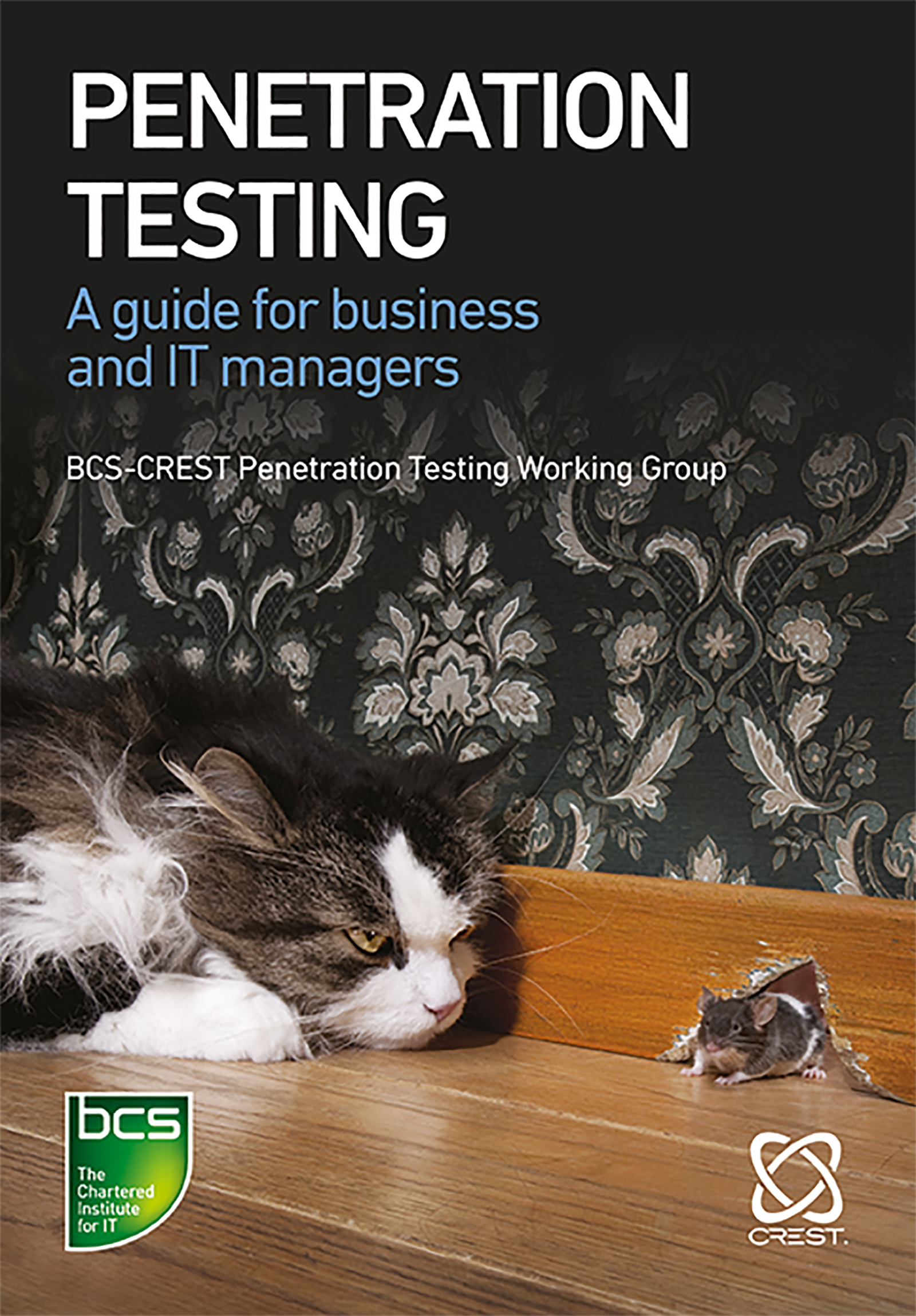Penetration Testing: A guide for business and IT managers by Nick ...